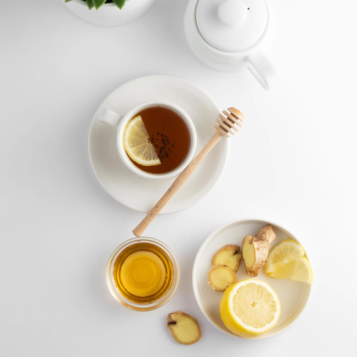 Moringa's Magic: Immune-Boosting Recipes for the Winter Season ...