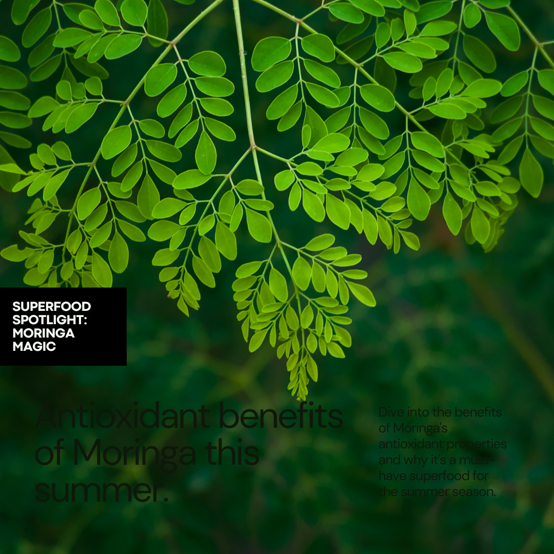 Exploring the Antioxidant Richness of Moringa: Why It's a Summer Essen ...