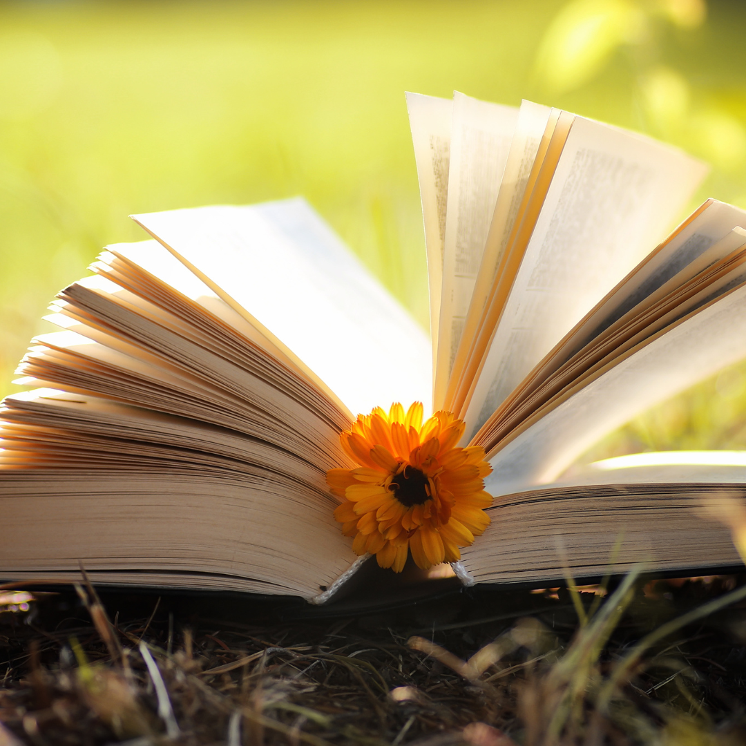 A Poetic Ode to Moringa: Celebrating National Poetry Month – Miracle Tree