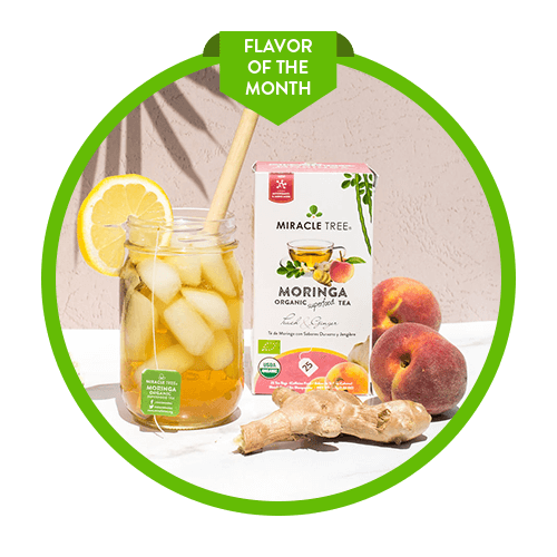 Organic Moringa Tea, Original – Miracle Tree